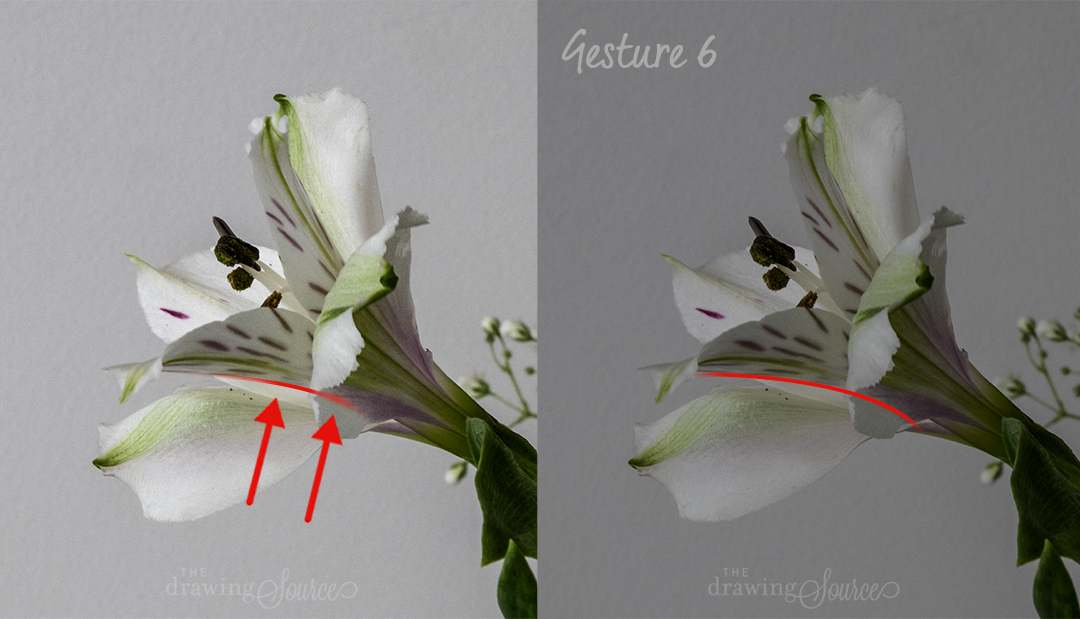 How to Draw a Flower